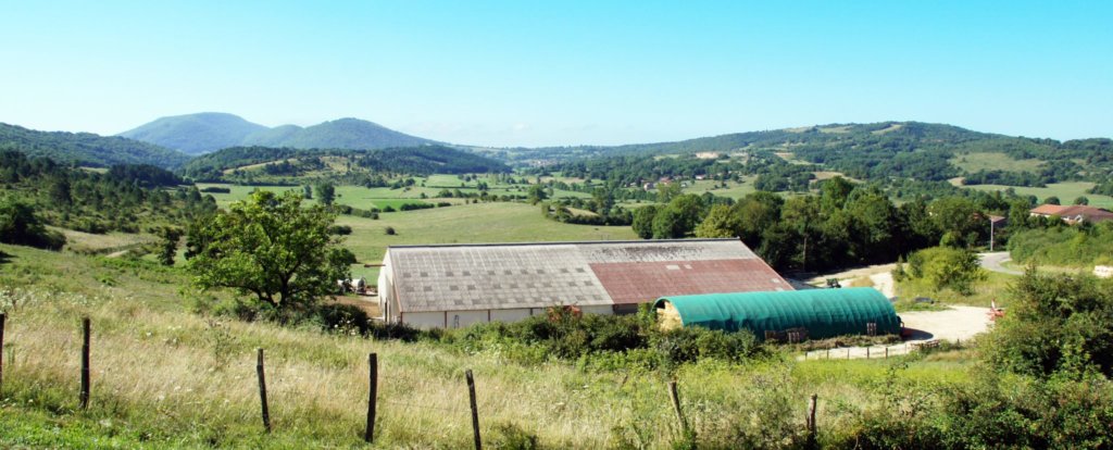Gaec de La Source - Comté