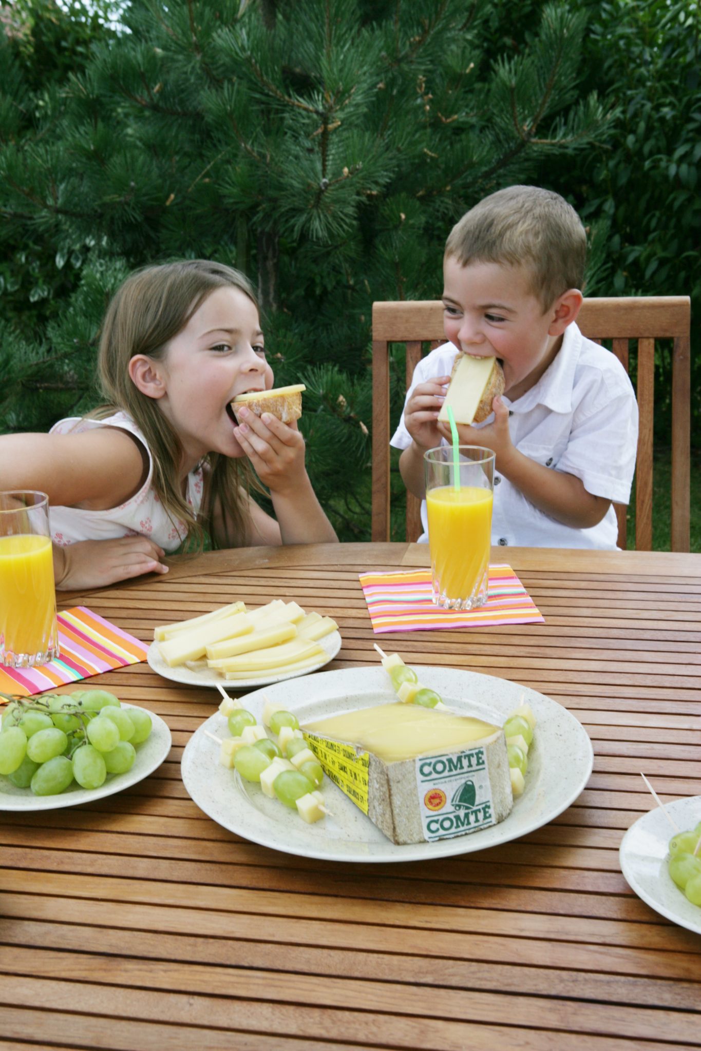 Nutrition et Santé - Comté